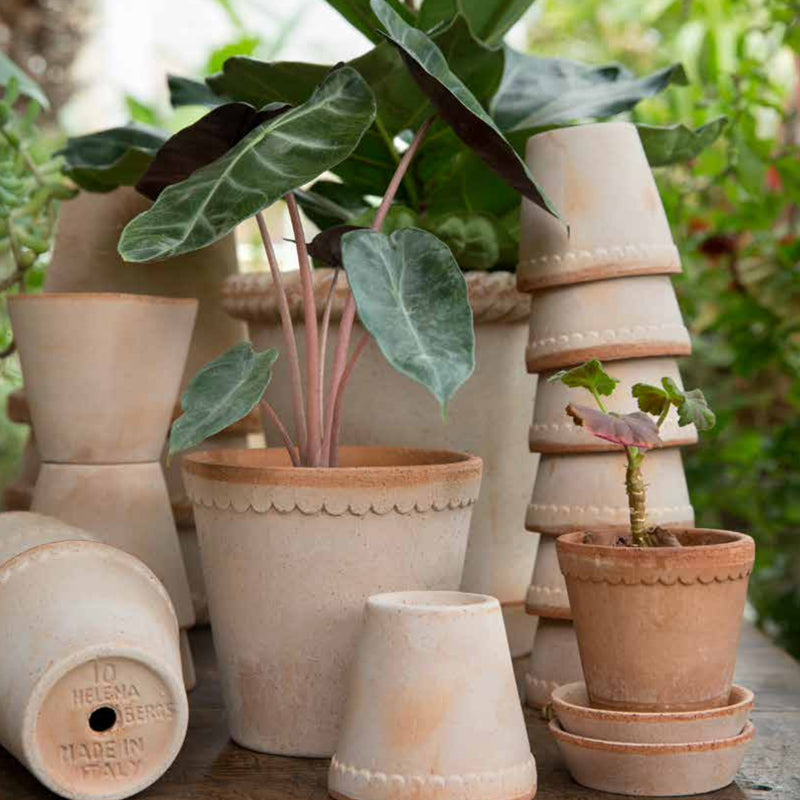 POTTERY | Hidden Lake Garden Home